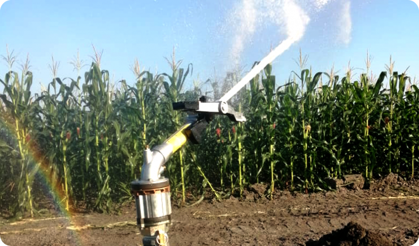 Riego por Aspersión y Microaspersión – Weaks Martin México