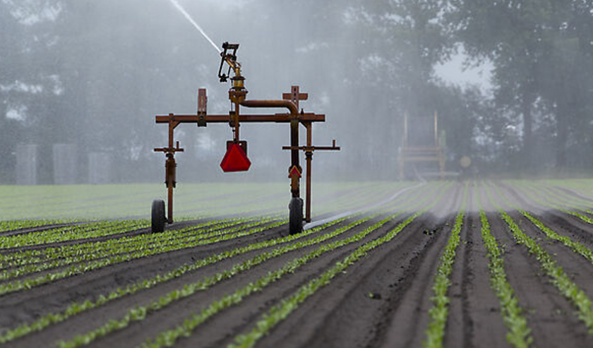 Riego por Aspersión y Microaspersión – Weaks Martin México